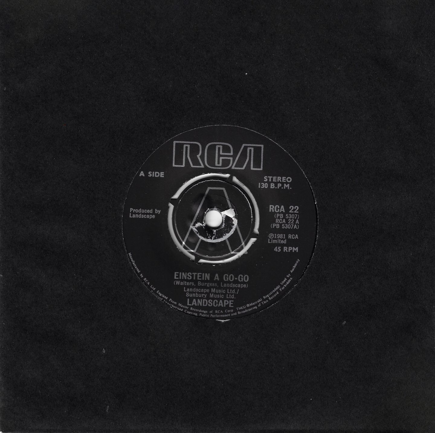 Einstein A Go-Go — Landscape
