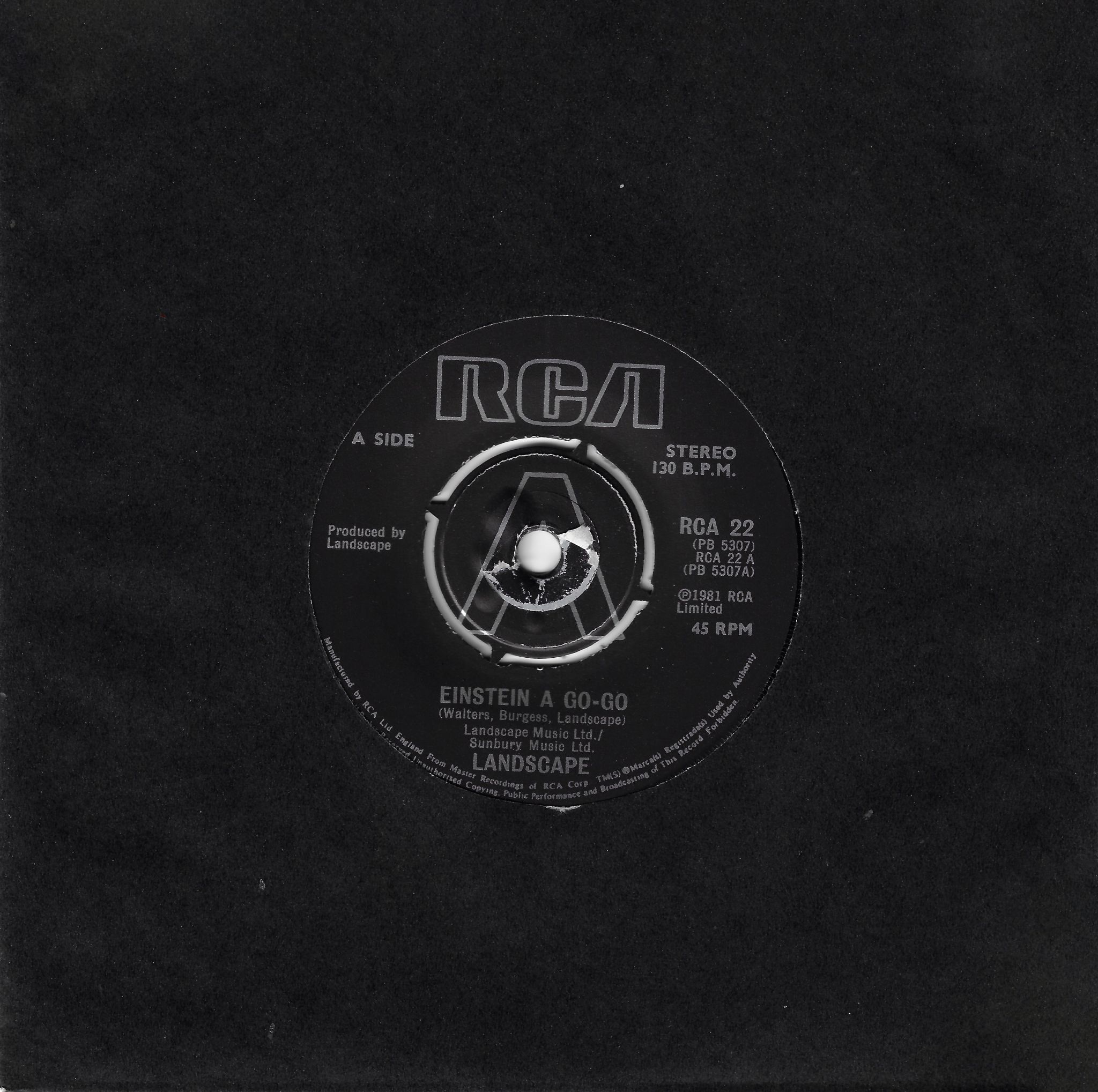 Einstein A Go-Go — Landscape